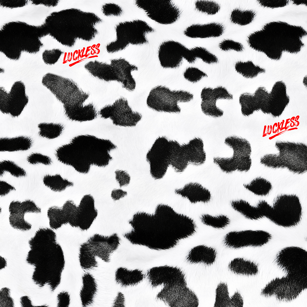 Luckless Outfitters Cow Pattern Collection